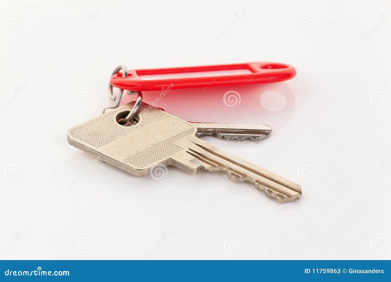 Keys on a Key Ring stock image. Image of silver, pair - 11759863