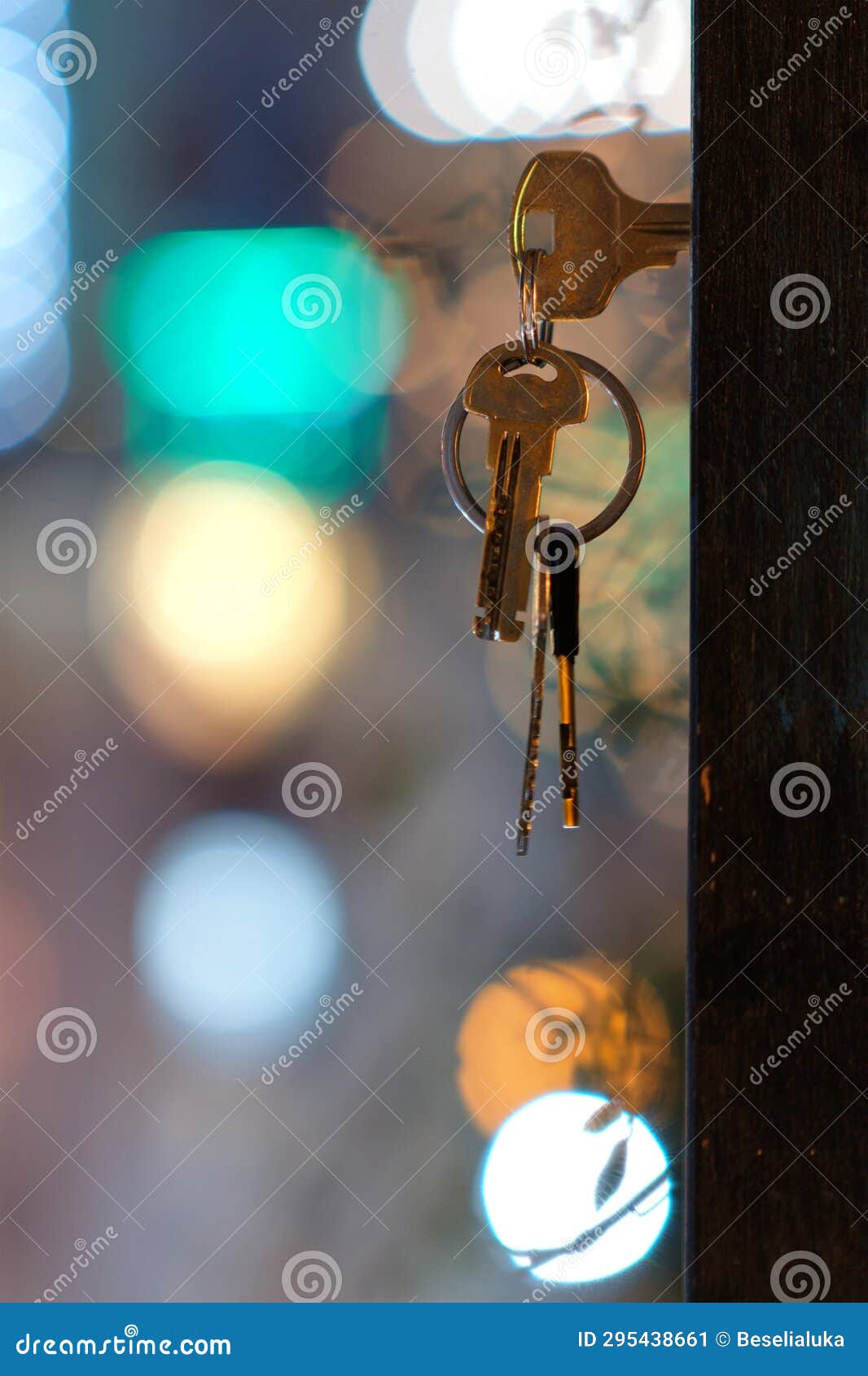 The keys with key ring stock image. Image of owner, background - 295438661