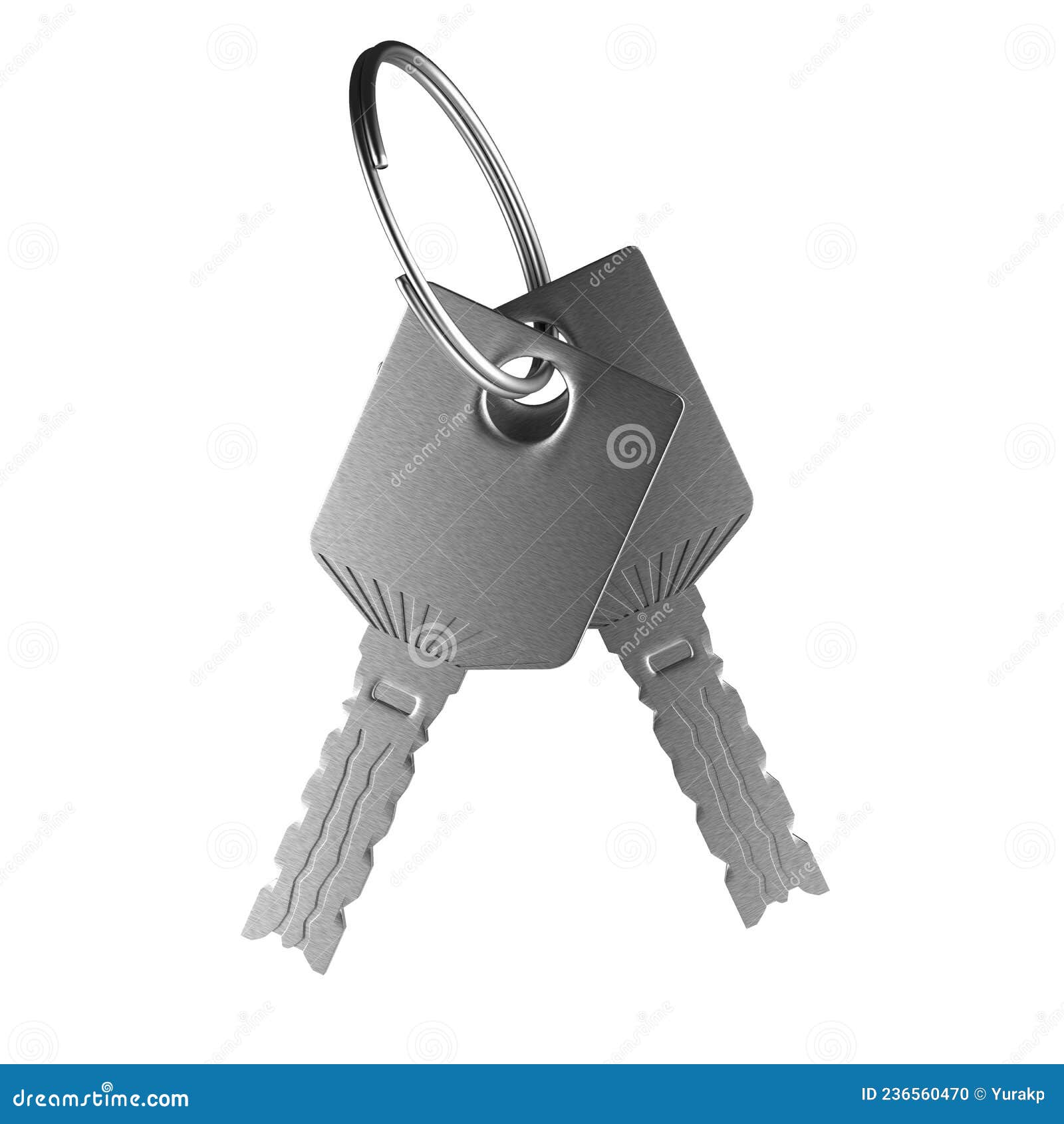 Keys with Key Ring Isolated on a White Background. 3d Rendering Stock ...