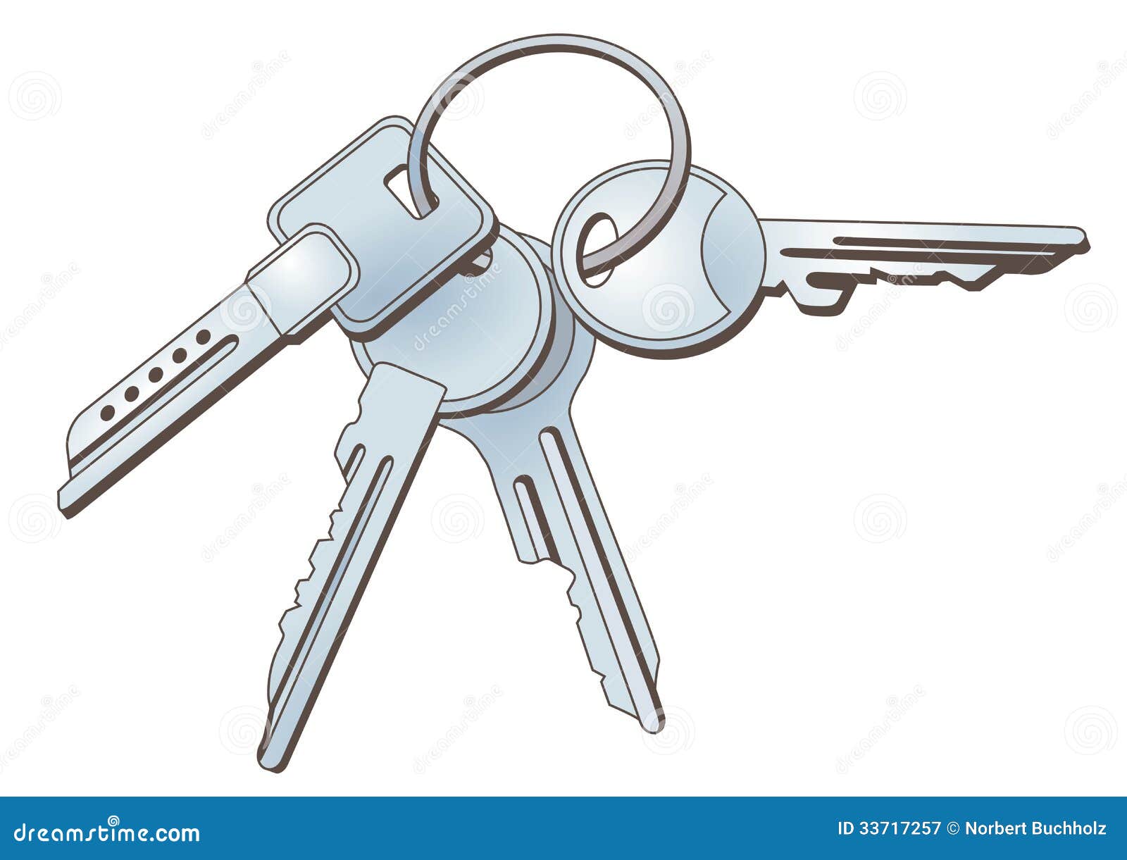 Keys on keychain stock vector. Illustration of shiny - 33717257
