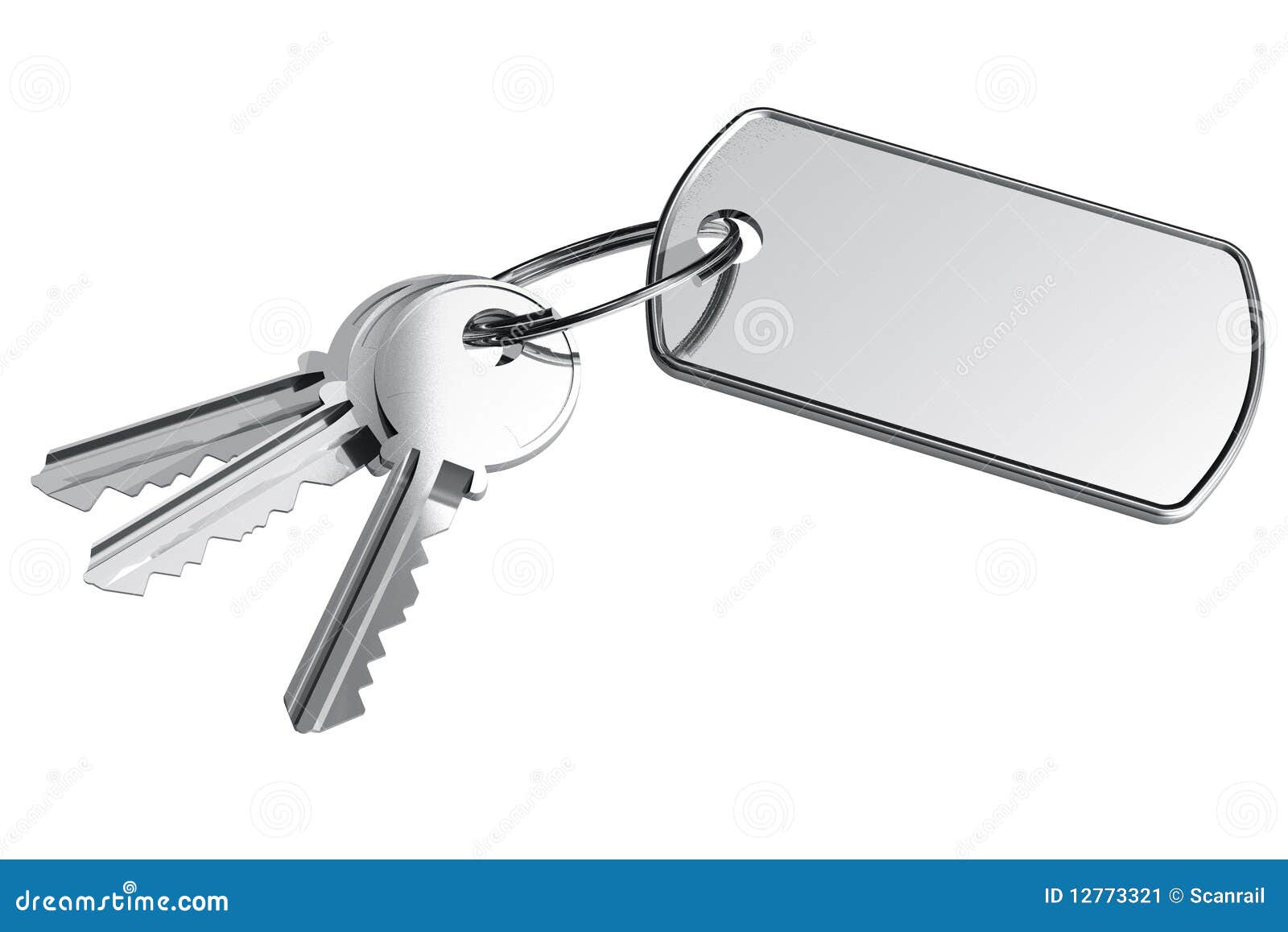 Keys with label stock illustration. Illustration of safety - 12773321