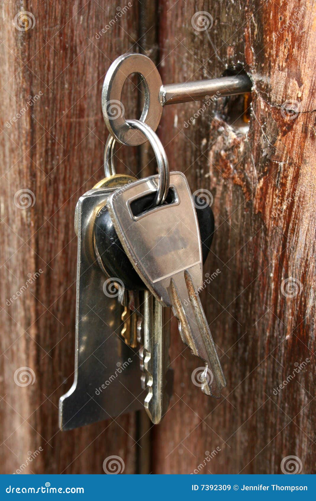 Keys in lock stock image. Image of bunch, door, mortice - 7392309