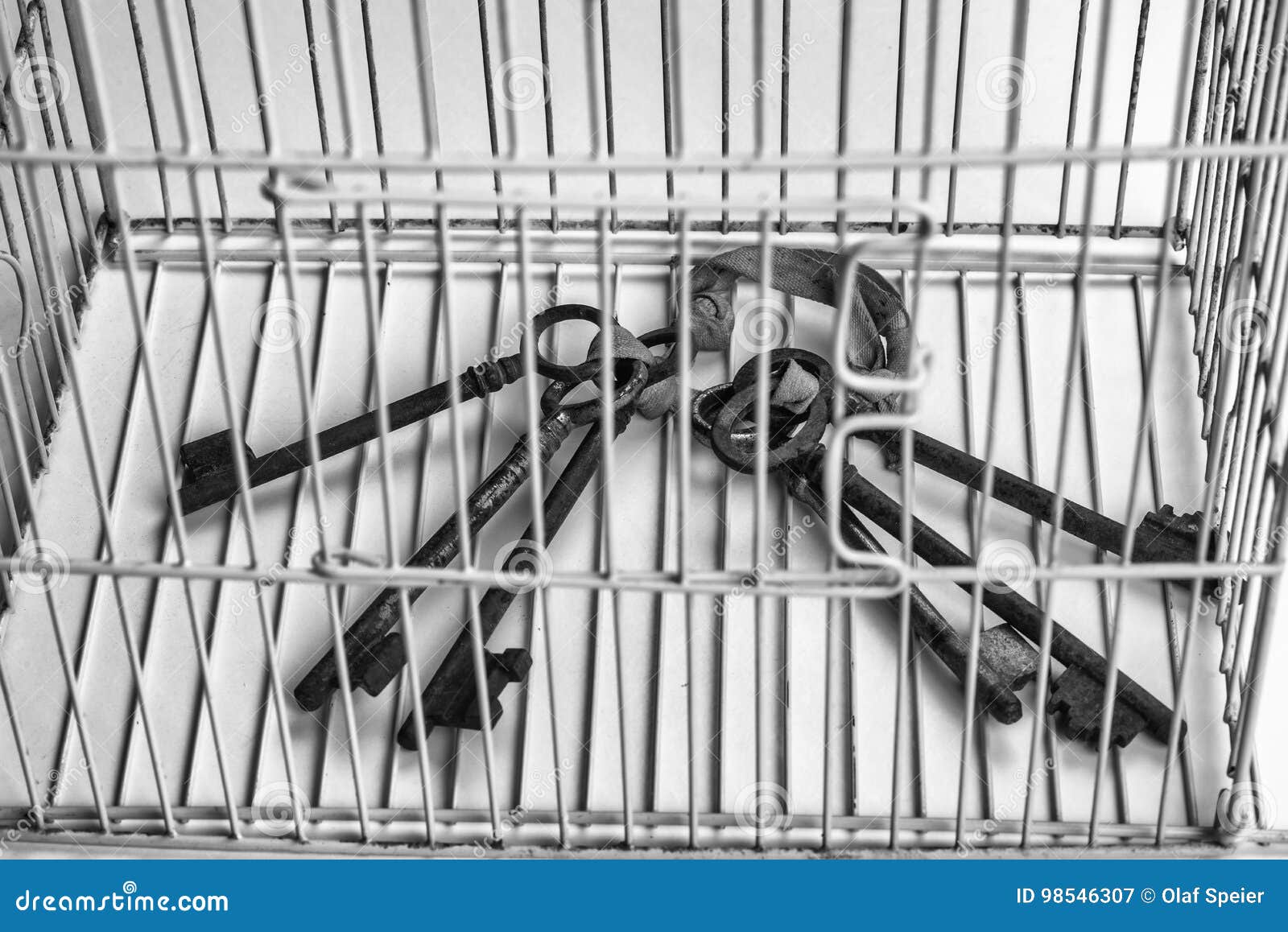 Keys locked in a cage stock image. Image of horizontal - 98546307