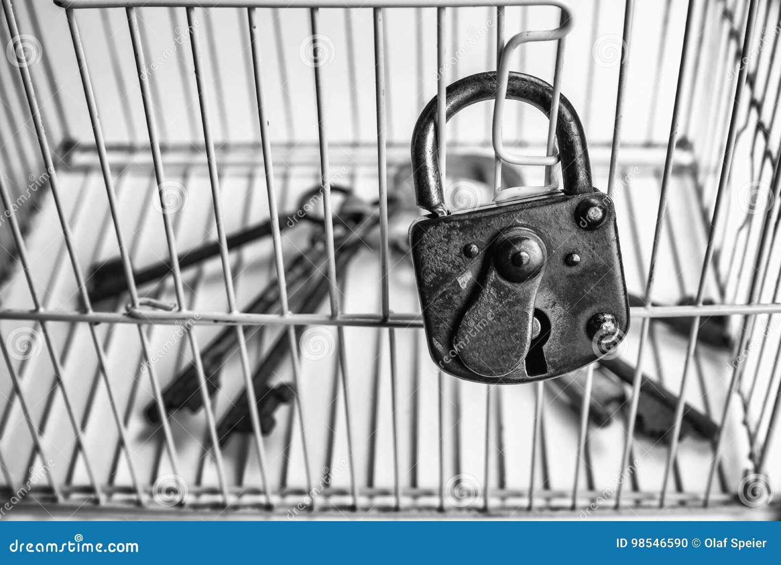 Keys Locked In A Cage Stock Photography | CartoonDealer.com #102121916