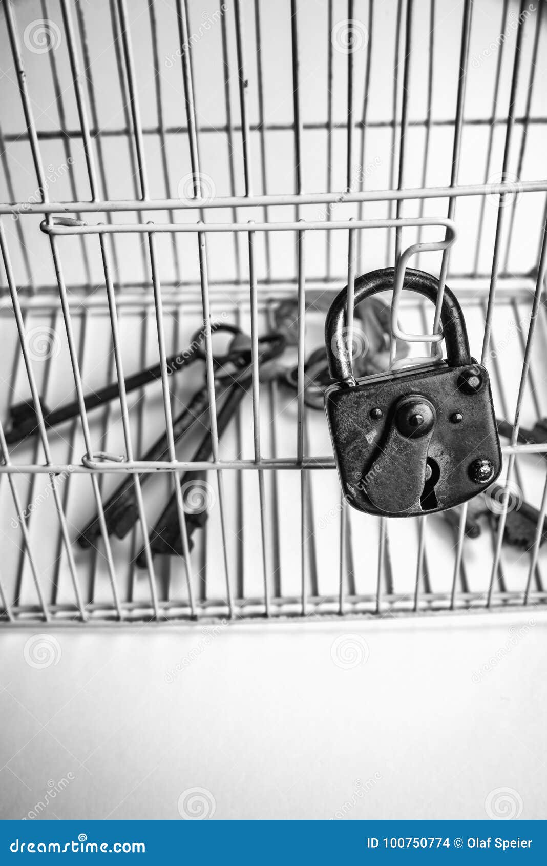 Keys locked in a cage stock photo. Image of penalty - 100750774