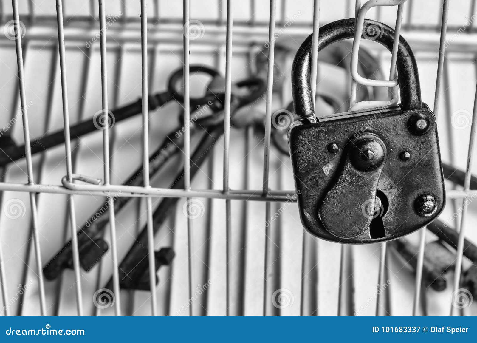 Keys locked in a cage stock image. Image of freedom - 101683337