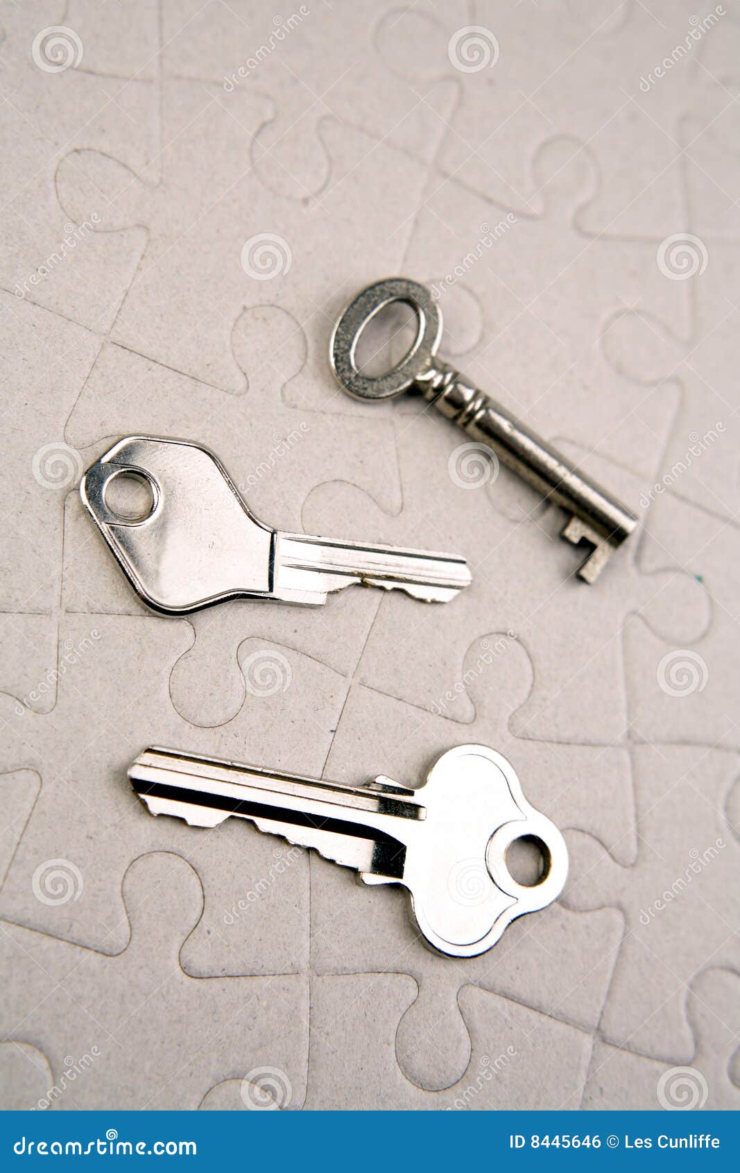 Keys on puzzle stock photo. Image of metal, independent - 8445646
