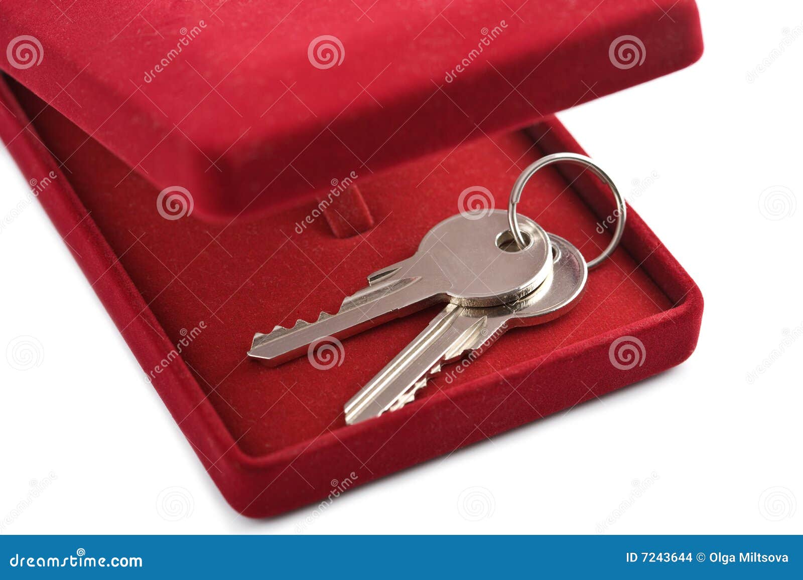 Keys in Red Gift Box Isolated Stock Photo - Image of bunch, house: 7243644