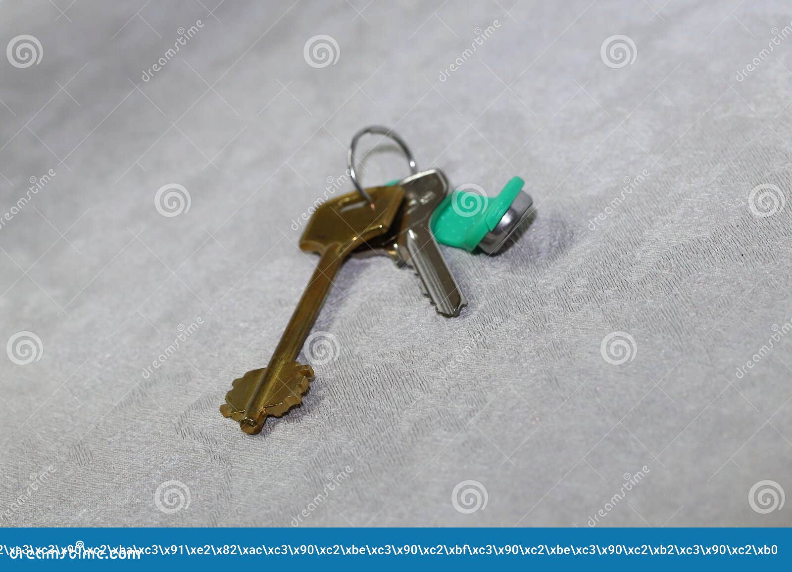Keys on the Ring, Two Keys and a Key Ring from the Intercom on the Ring ...