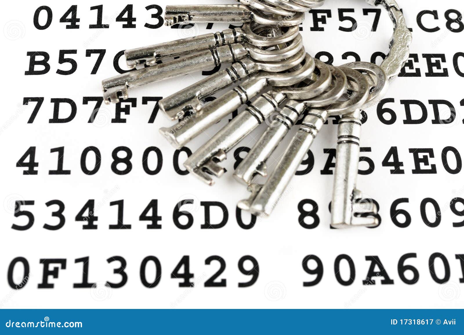 Keys on a Sheet with Encrypted Data Stock Image - Image of decrypt ...