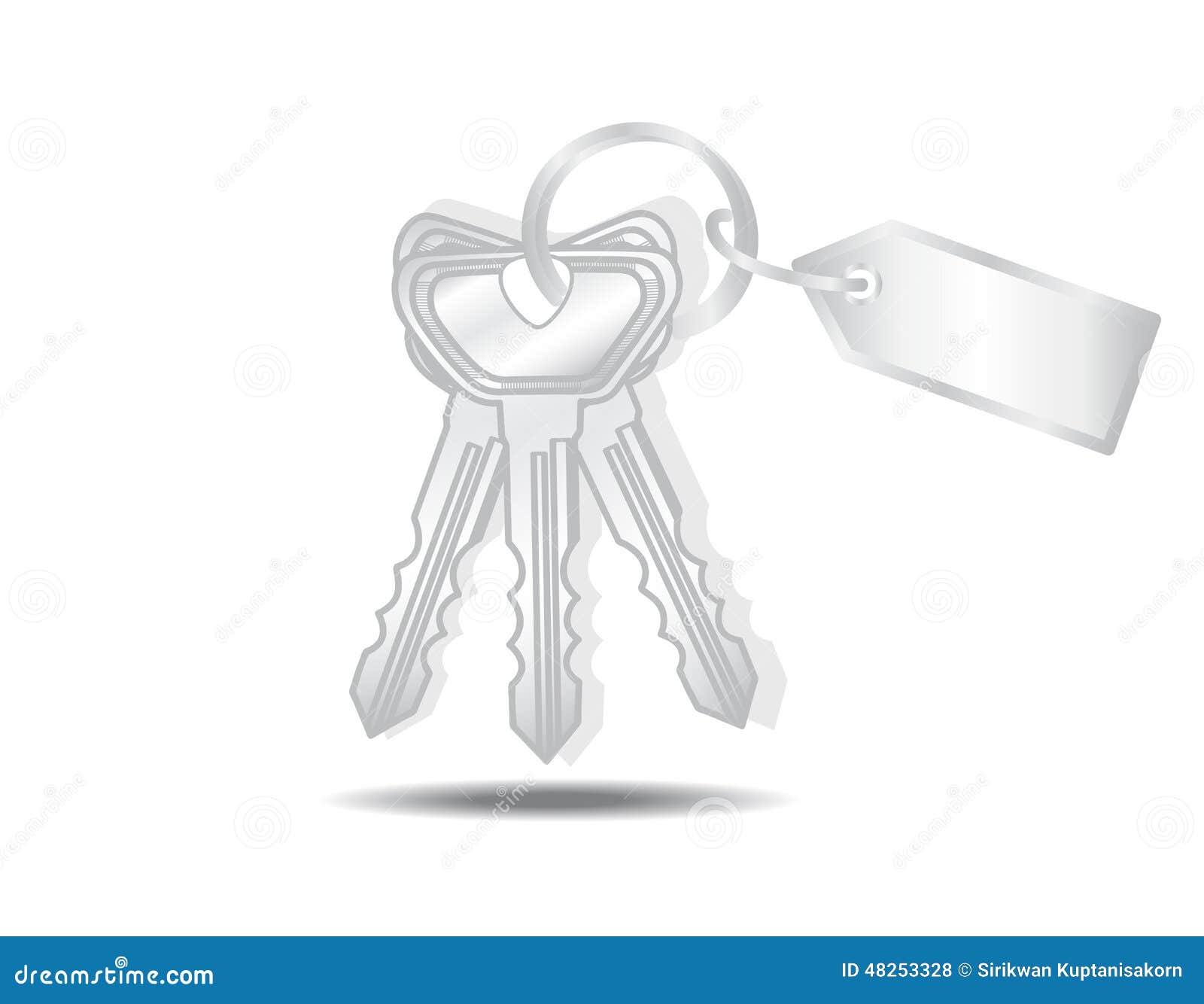 Keys and tag stock vector. Illustration of bolt, metallic - 48253328