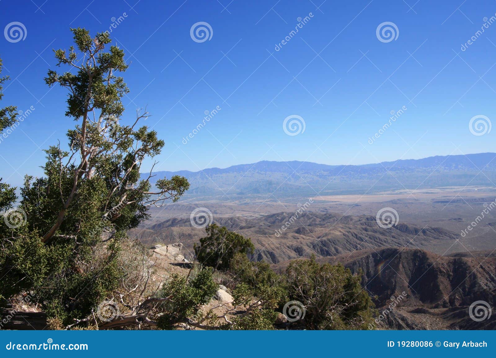 Keys View at Joshua Tree stock photo. Image of california - 19280086