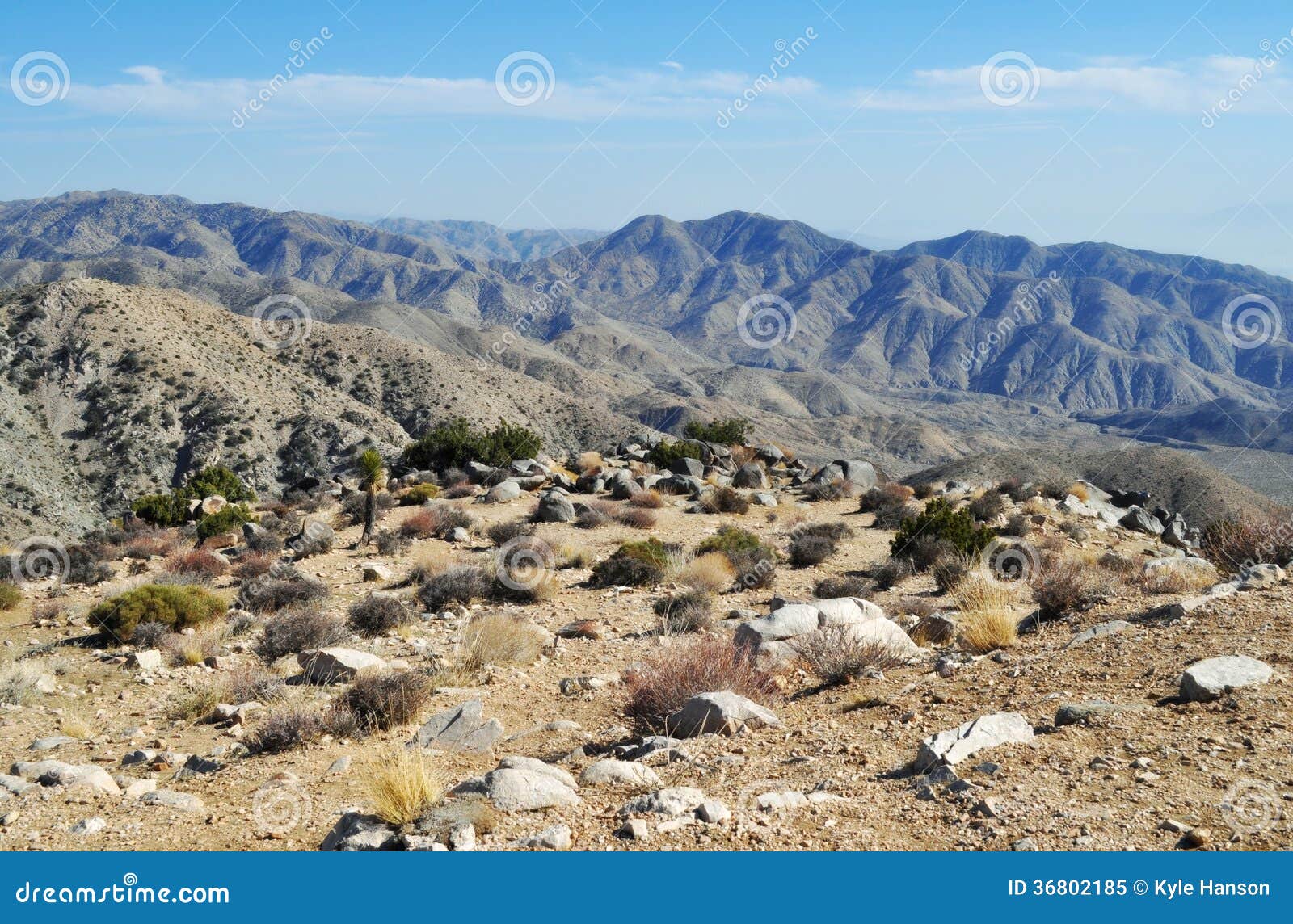 Keys View, Joshua Tree National Park Stock Image - Image of desert ...