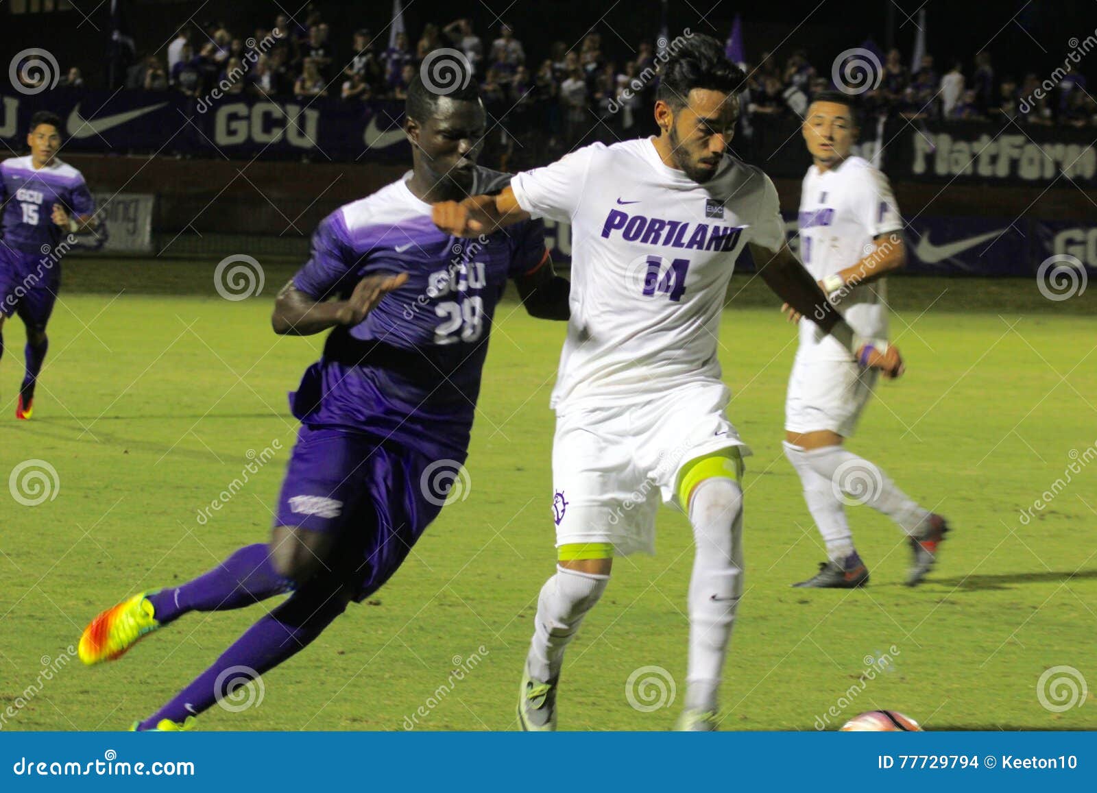 Brandon Zambrano Stock Photos - Free & Royalty-Free Stock Photos from ...