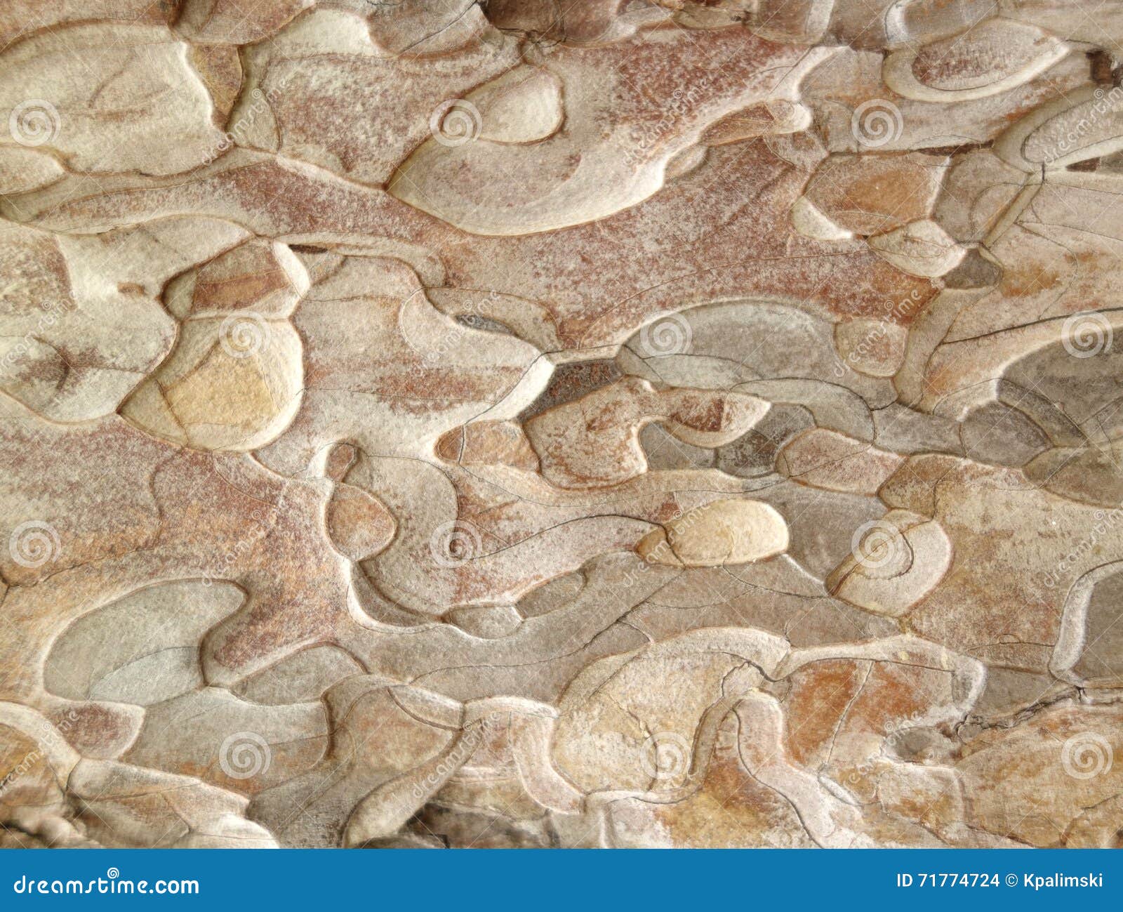 Khaki abstract pattern stock photo. Image of printable - 71774724