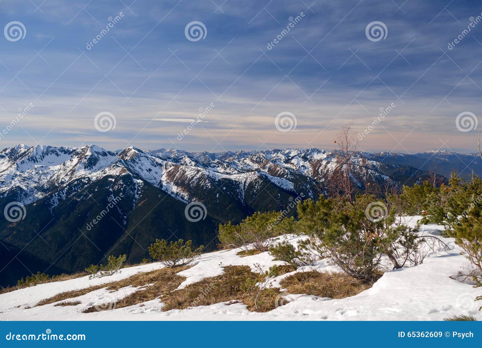 Khamar-Daban stock image. Image of nature, outdoors, needle - 65362609