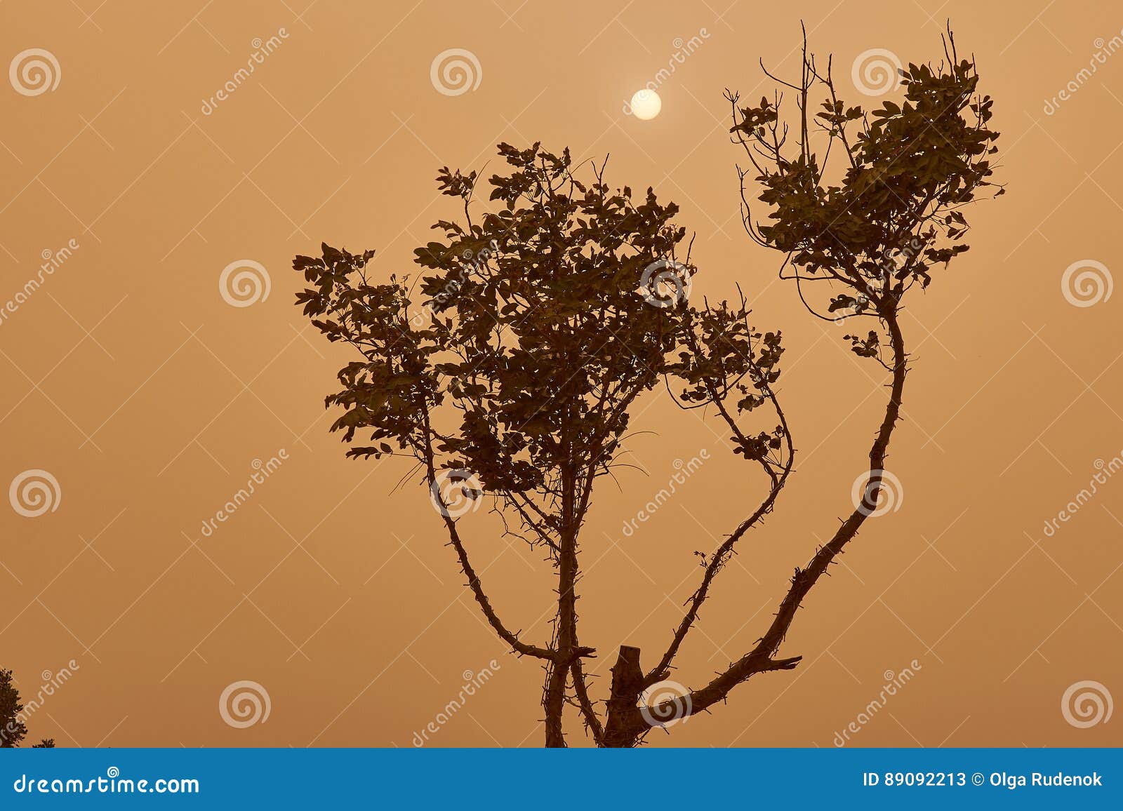 Khamsin in Cairo stock image. Image of khamsin, building - 89092213