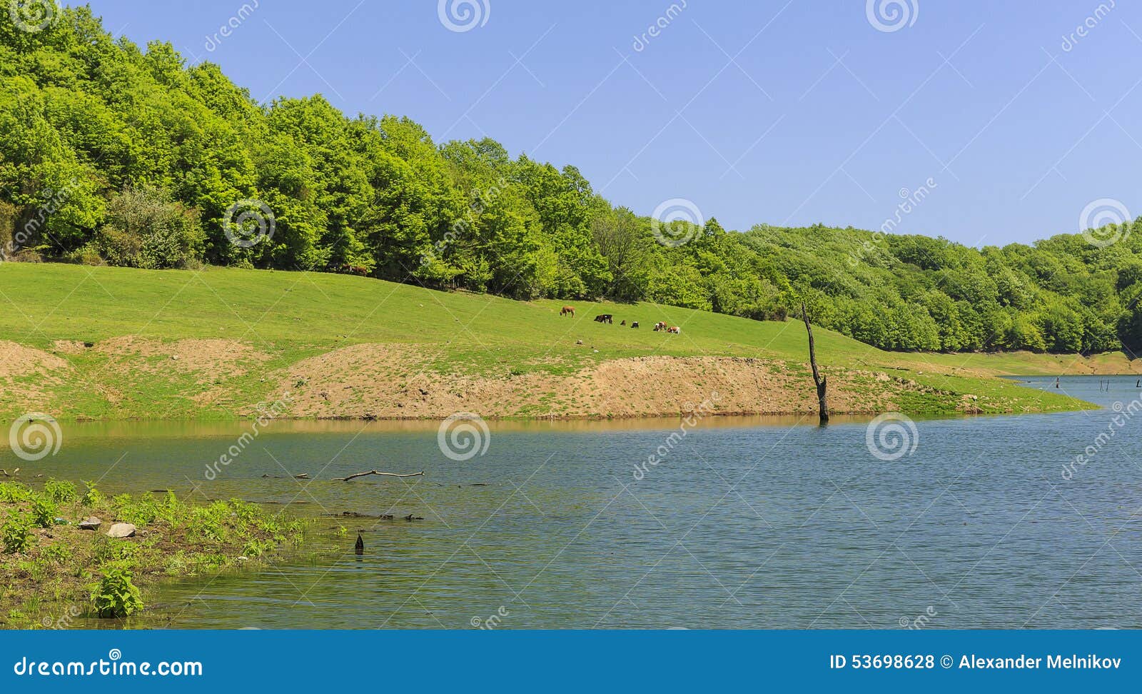 Khanbulan Reservoir in Lankaran Stock Photo - Image of forest ...