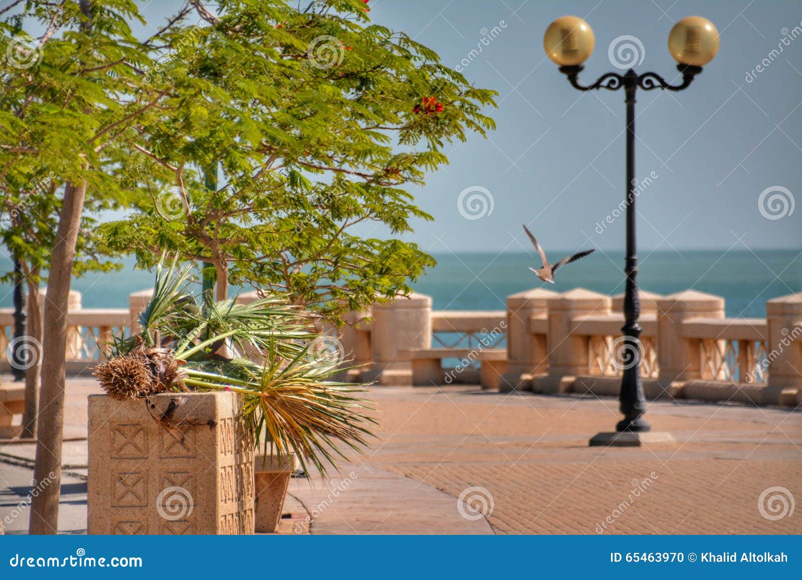 Khobar sea front walk stock photo. Image of front, walk - 65463970