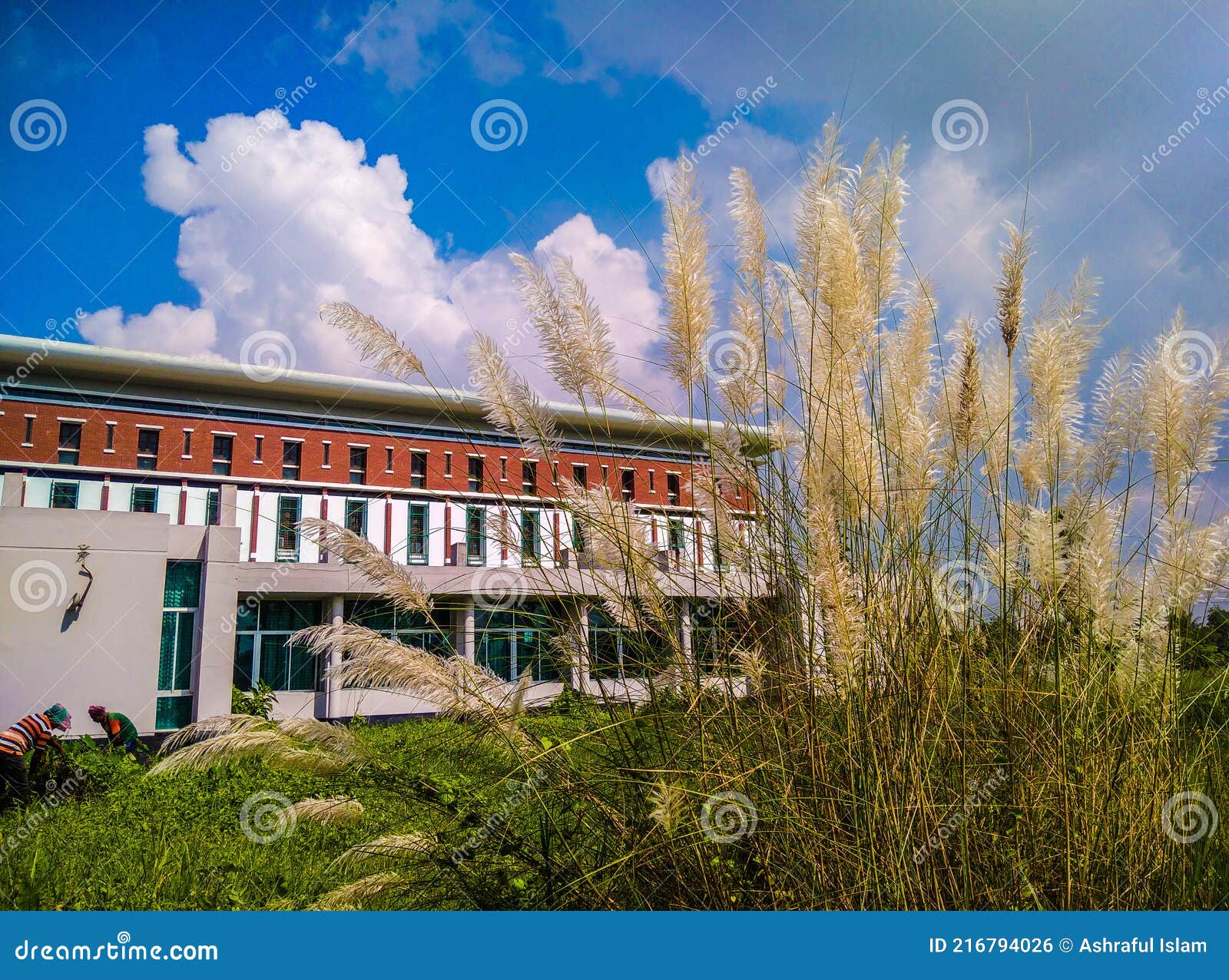 Khulna University library editorial photo. Image of khulna - 216794026