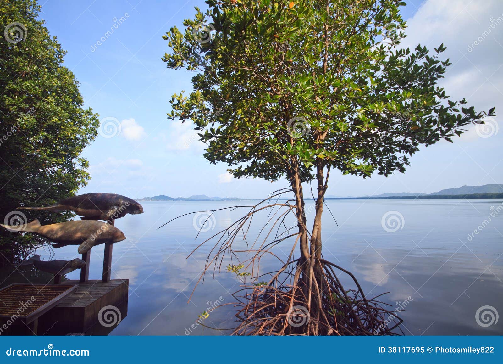 Khung Kraben forest stock image. Image of thailand, nature - 38117695