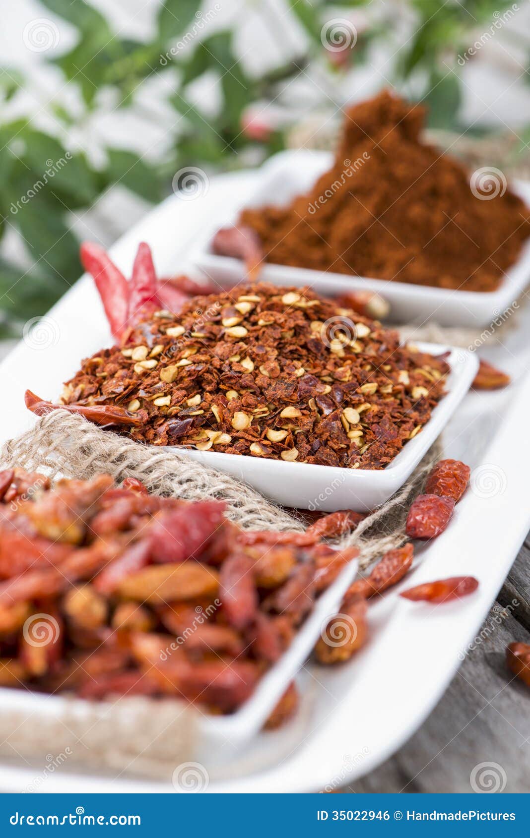 Kibbled Chilli Fruits stock photo. Image of mexican, powder - 35022946