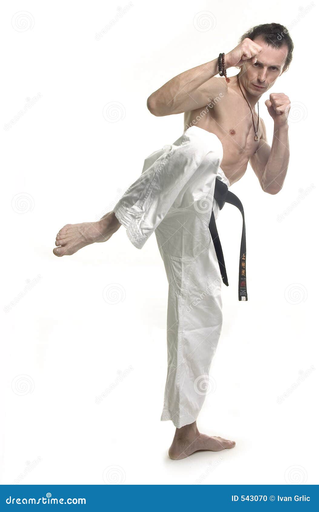 Kick stock photo. Image of hands, gard, posture, male, white - 543070