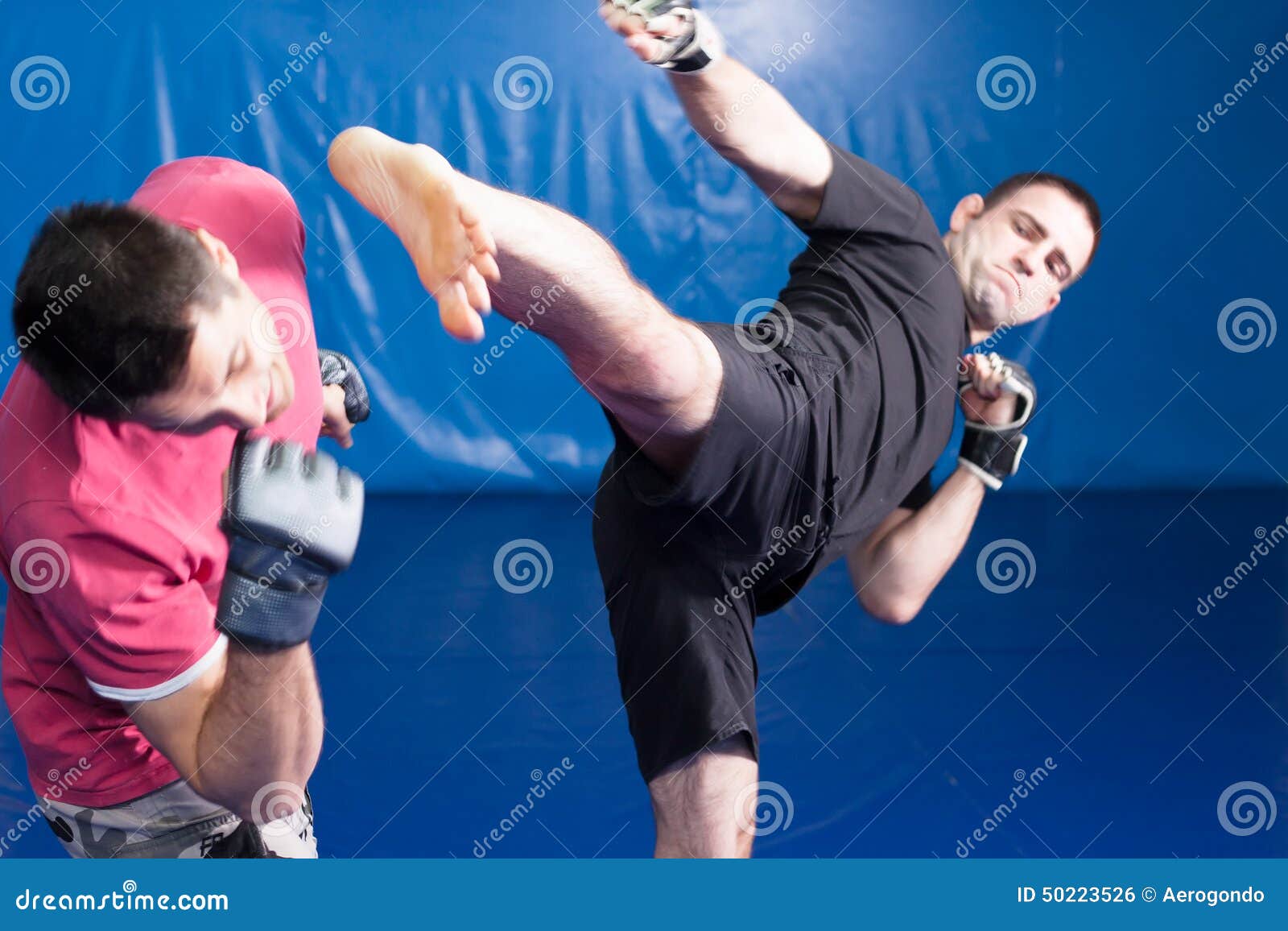 Kick in the Beard during Box Training Stock Photo - Image of boxing ...