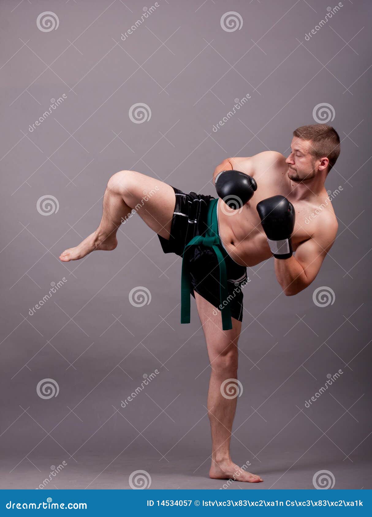 Kick-boxer stock image. Image of competitive, mittens - 14534057