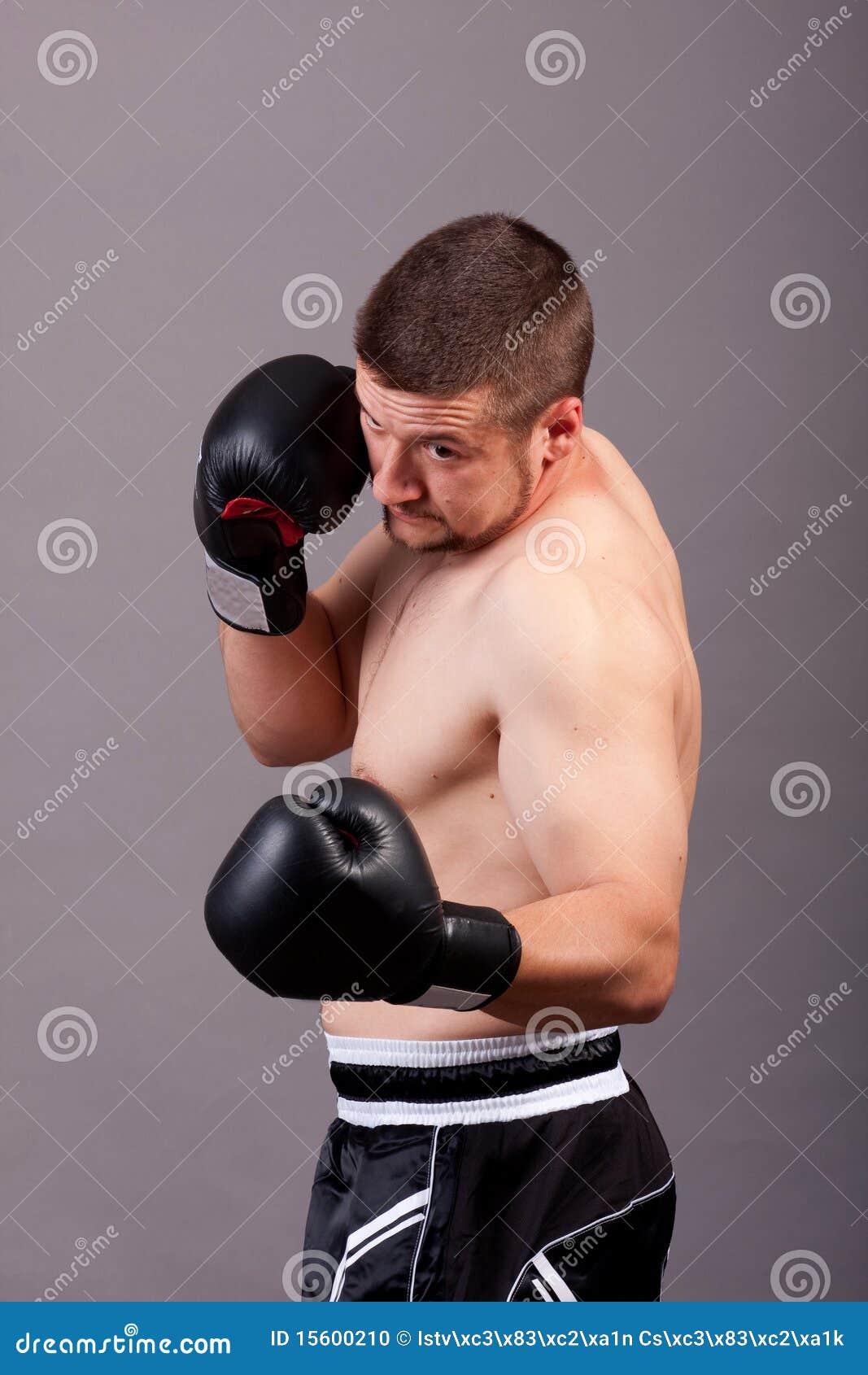 Kick-boxer stock photo. Image of hand, fist, concentration - 15600210