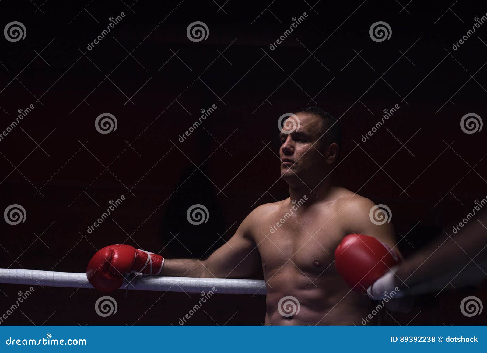Kick Boxer Resting on the Ropes in the Corner Stock Photo - Image of ...