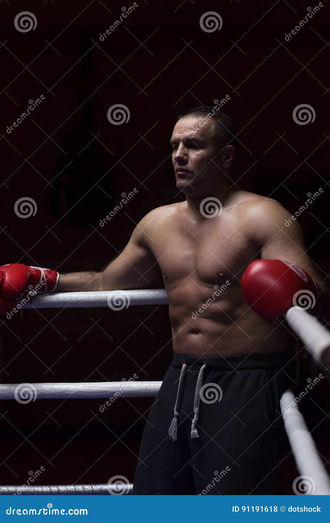 Kick Boxer Resting on the Ropes in the Corner Stock Photo - Image of ...