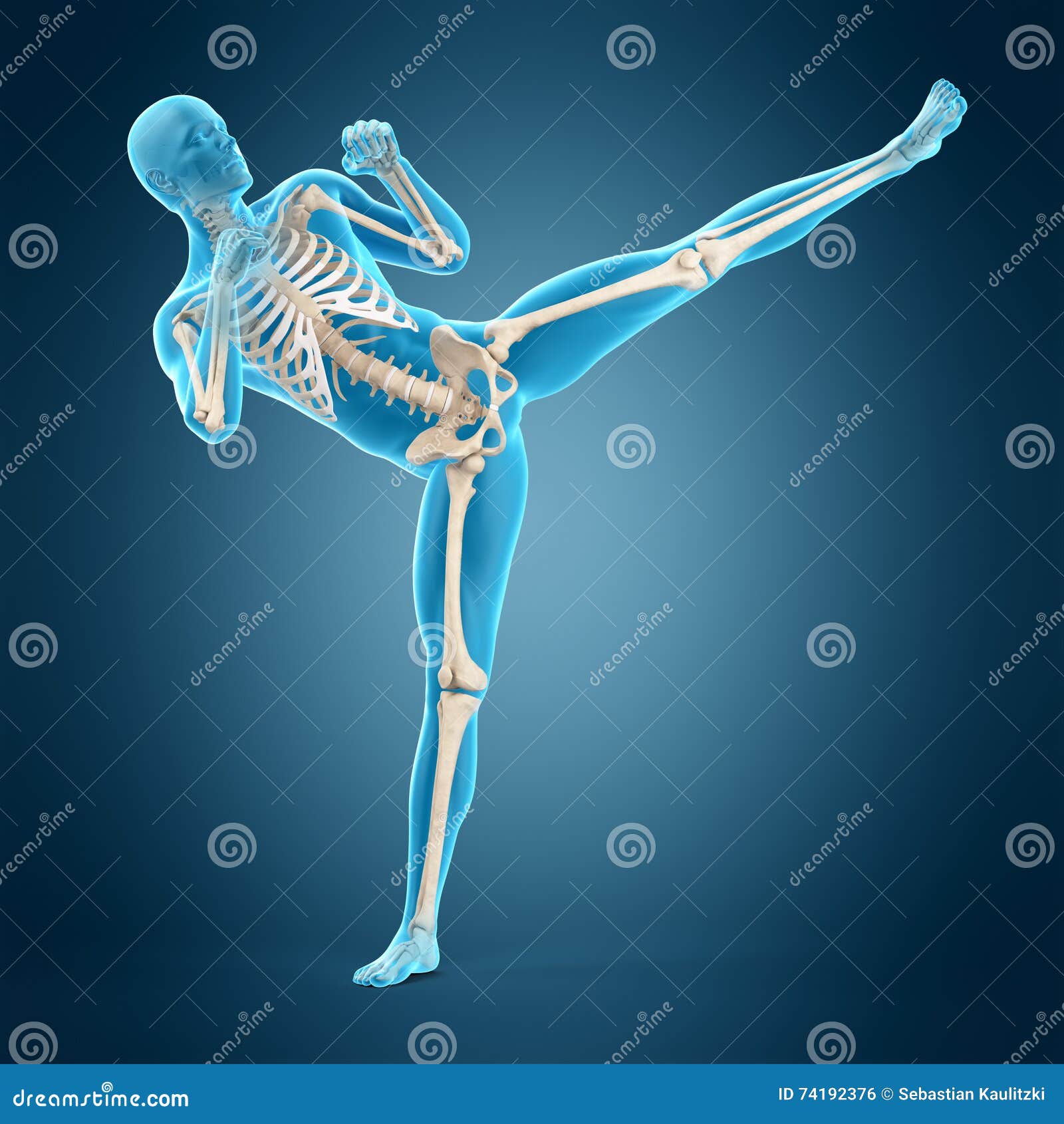 A kick boxing pose stock illustration. Illustration of pose - 74192376