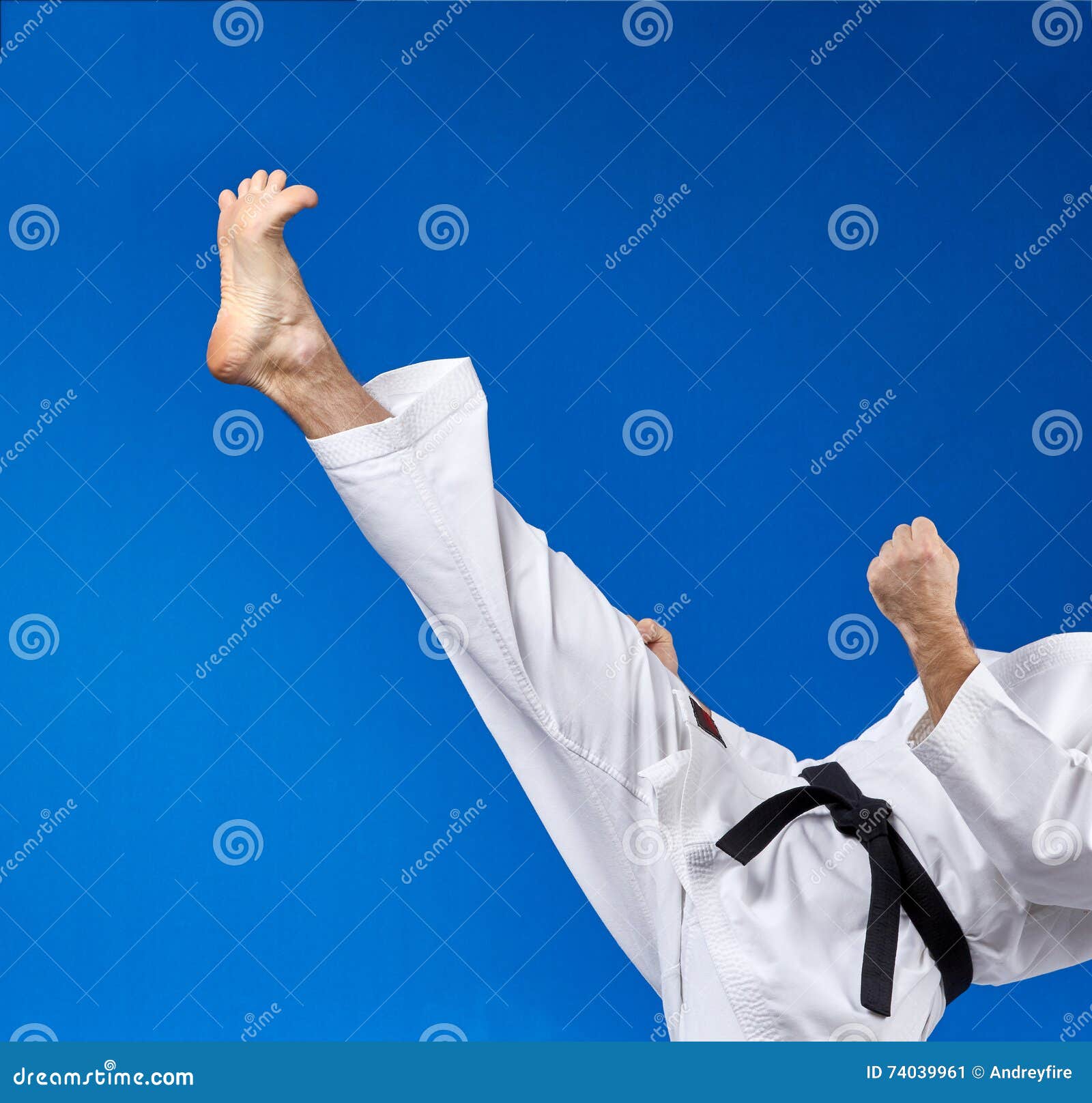 Kick Leg Forward Athlete Beats with a Black Belt Stock Image - Image of ...