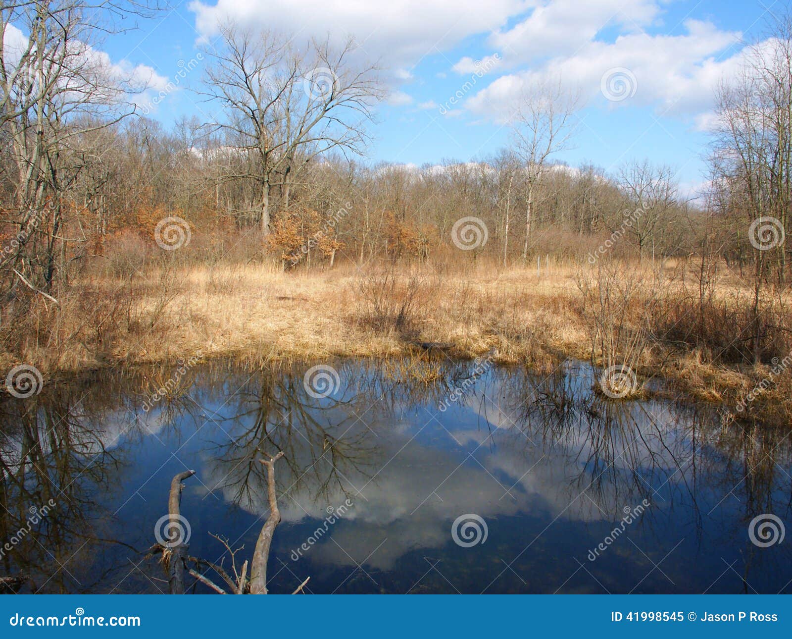 Kickapoo State Park Illinois Stock Image - Image of pool, outdoors ...
