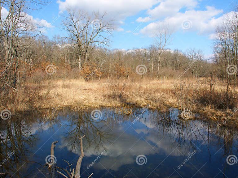 Kickapoo State Park Illinois Stock Image - Image of pool, outdoors ...