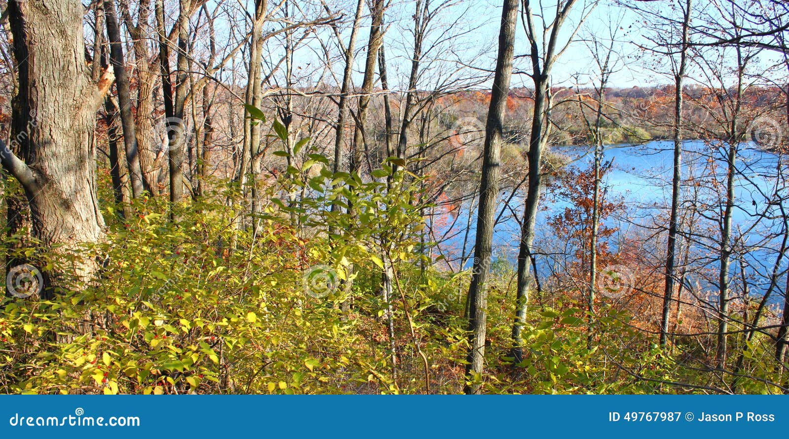 Kickapoo State Park Illinois Stock Image - Image of clear, environment ...