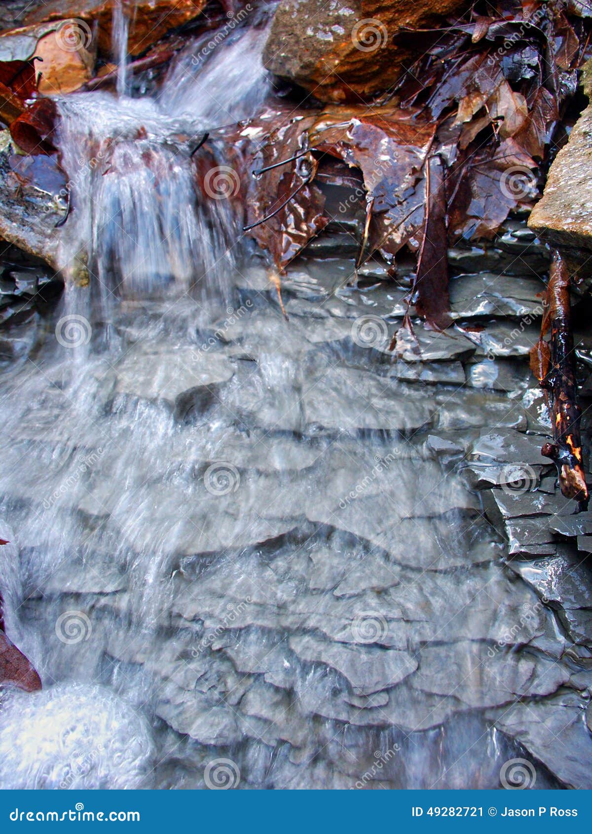 Kickapoo State Park Illinois Stock Image - Image of county, park: 49282721
