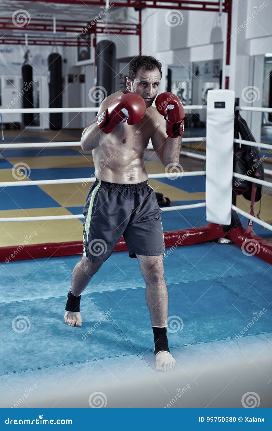 Kickbox Fighter Shadow Boxing in the Ring Stock Photo - Image of body ...