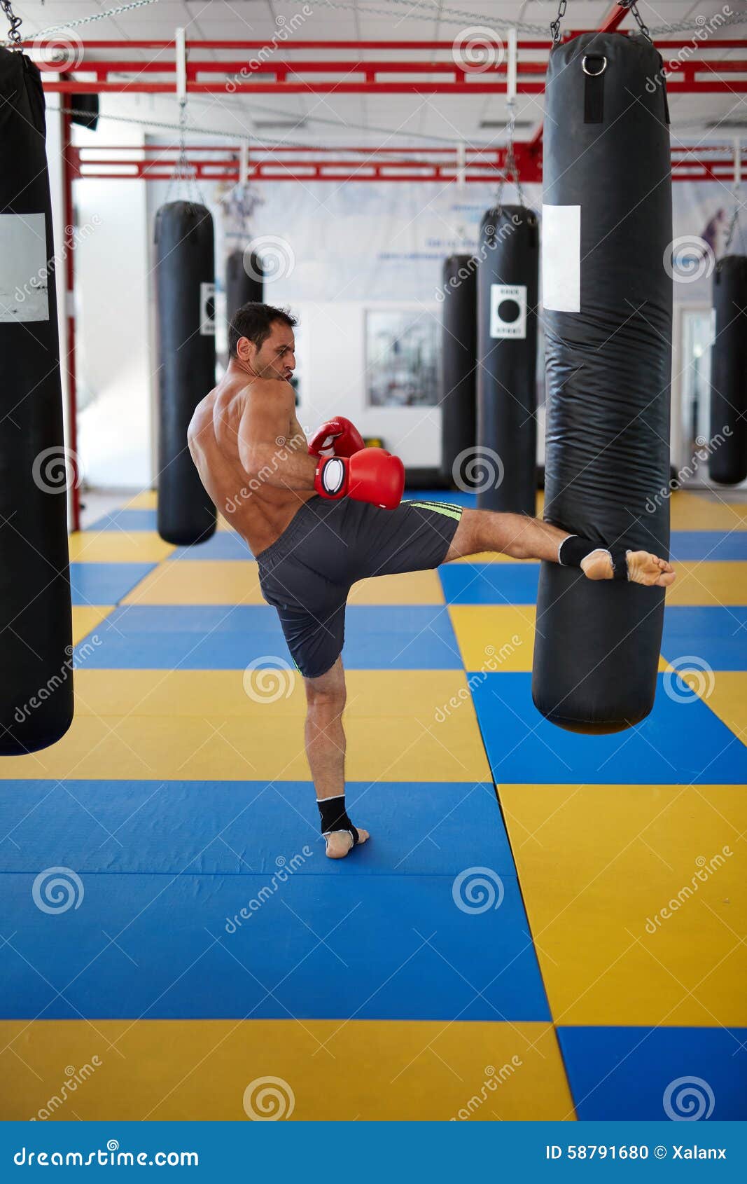 Kickbox Fighter Training with the Punch Bag Stock Photo - Image of ...