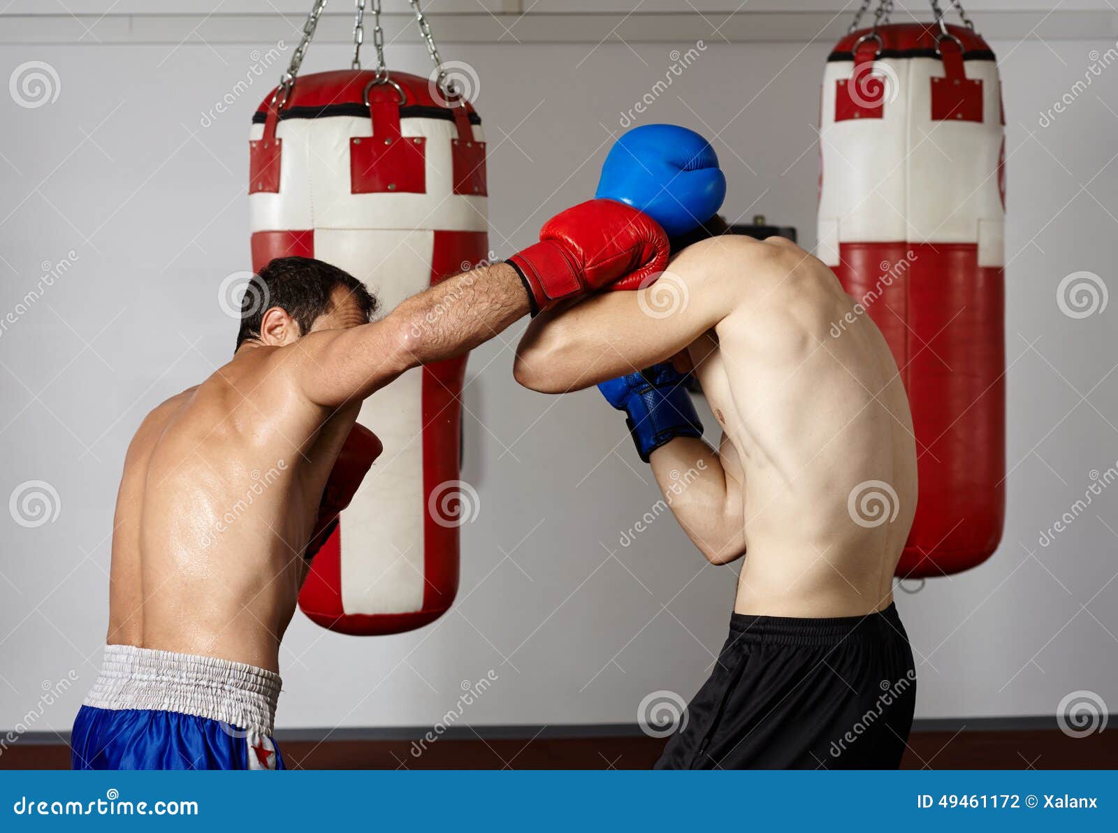 Kickbox Fighters Sparring Royalty-Free Stock Photography ...