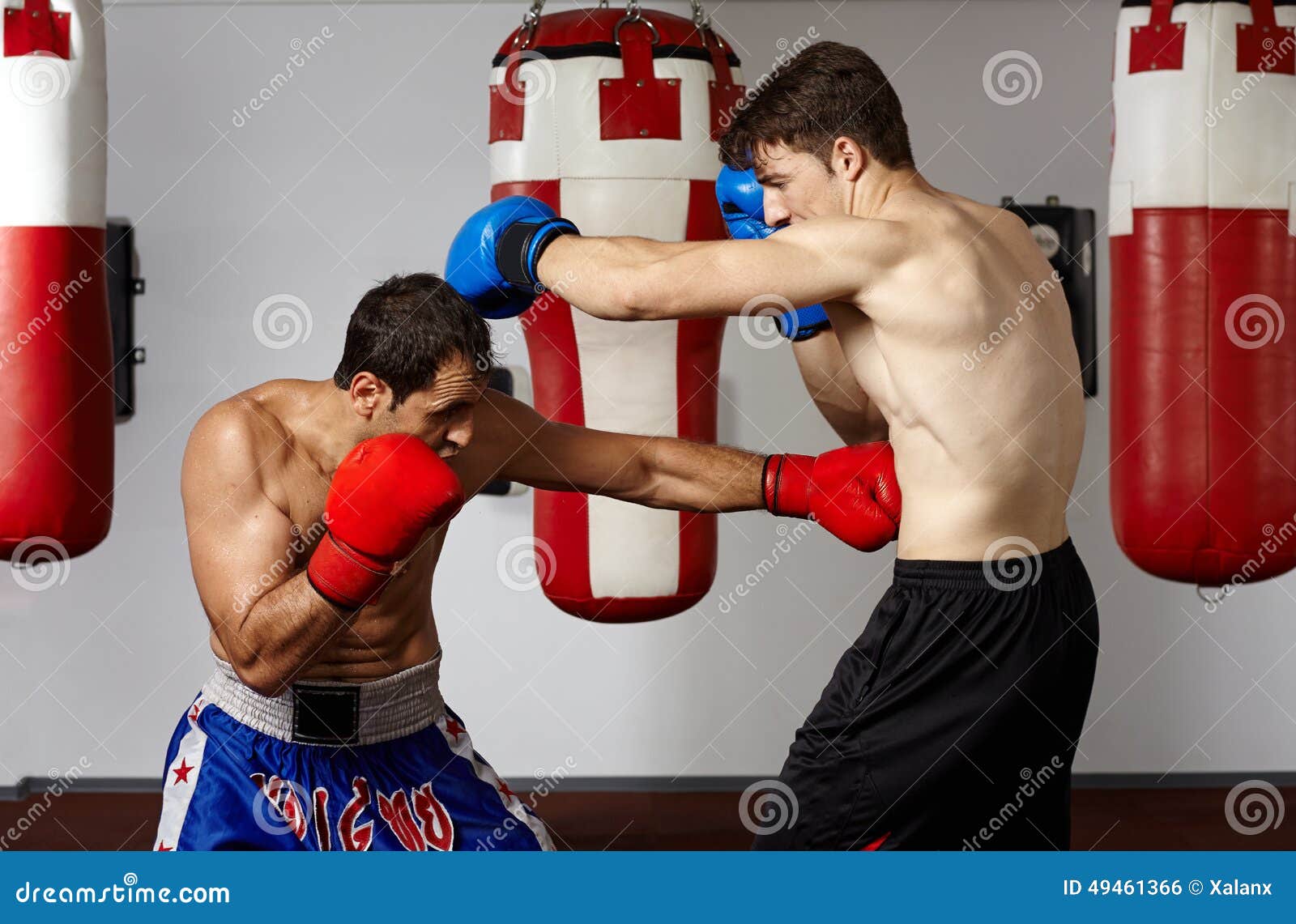 Kickbox Fighters Sparring Royalty-Free Stock Photography ...