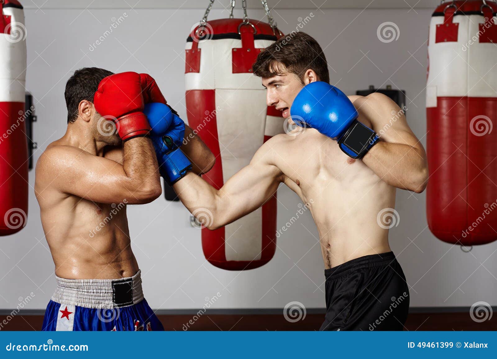 Kickbox Fighters Sparring Royalty-Free Stock Photography ...