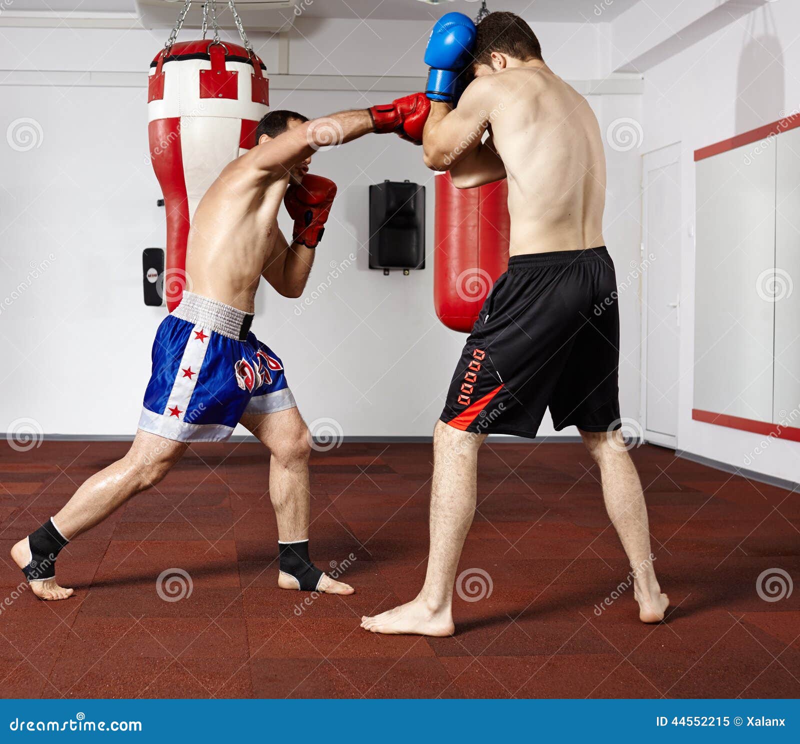 Kickbox Fighters Sparring Royalty-Free Stock Photography ...