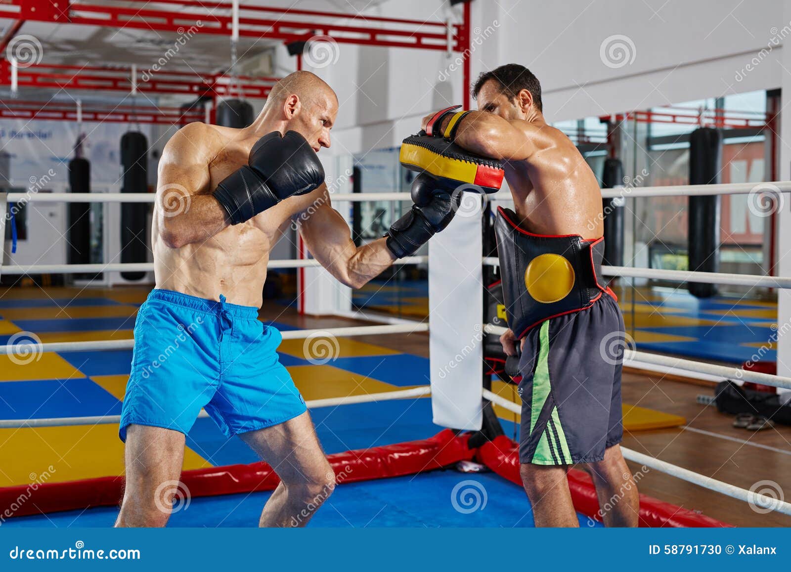 Kickbox Fighters Sparring in the Ring Stock Photo - Image of activity ...