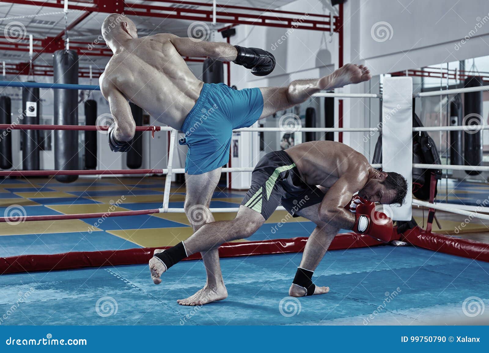 Kickbox Fighters Sparring in the Ring Stock Photo - Image of martial ...