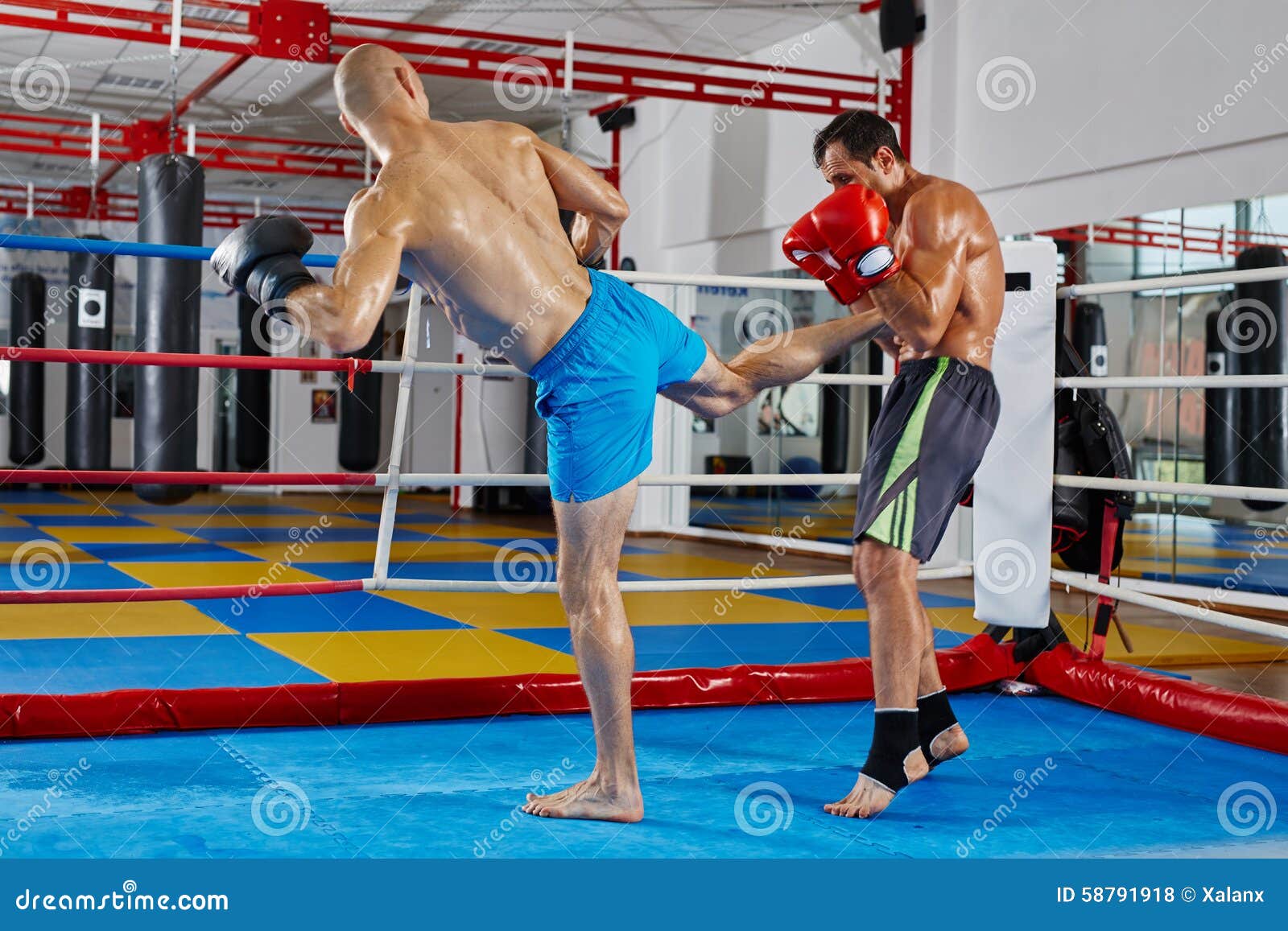 Kickbox Fighters Training in the Ring Stock Photo - Image of power ...
