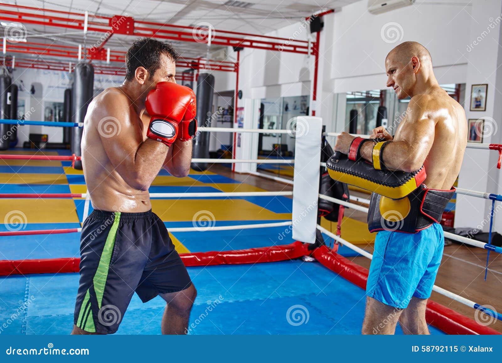 Kickbox Fighters Training in the Ring Stock Image - Image of aggression ...