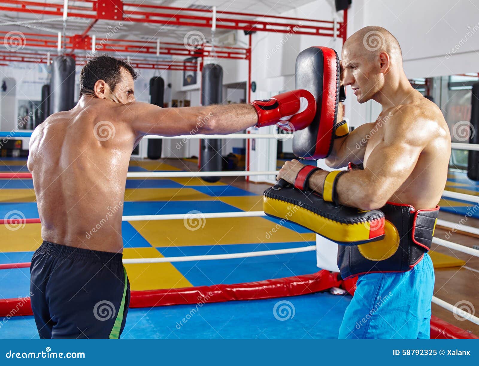 Kickbox Fighters Training in the Ring Stock Image - Image of fighter ...