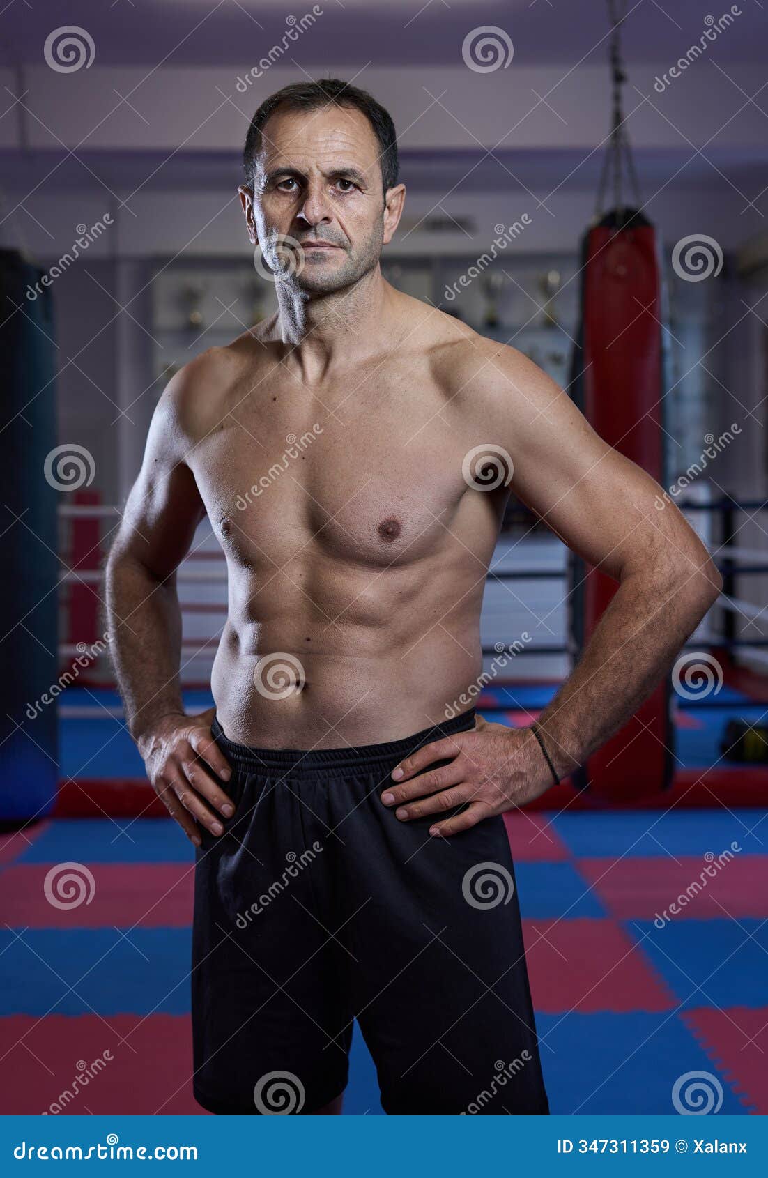 Kickboxer Posing in the Gym Stock Image - Image of active, male: 347311359